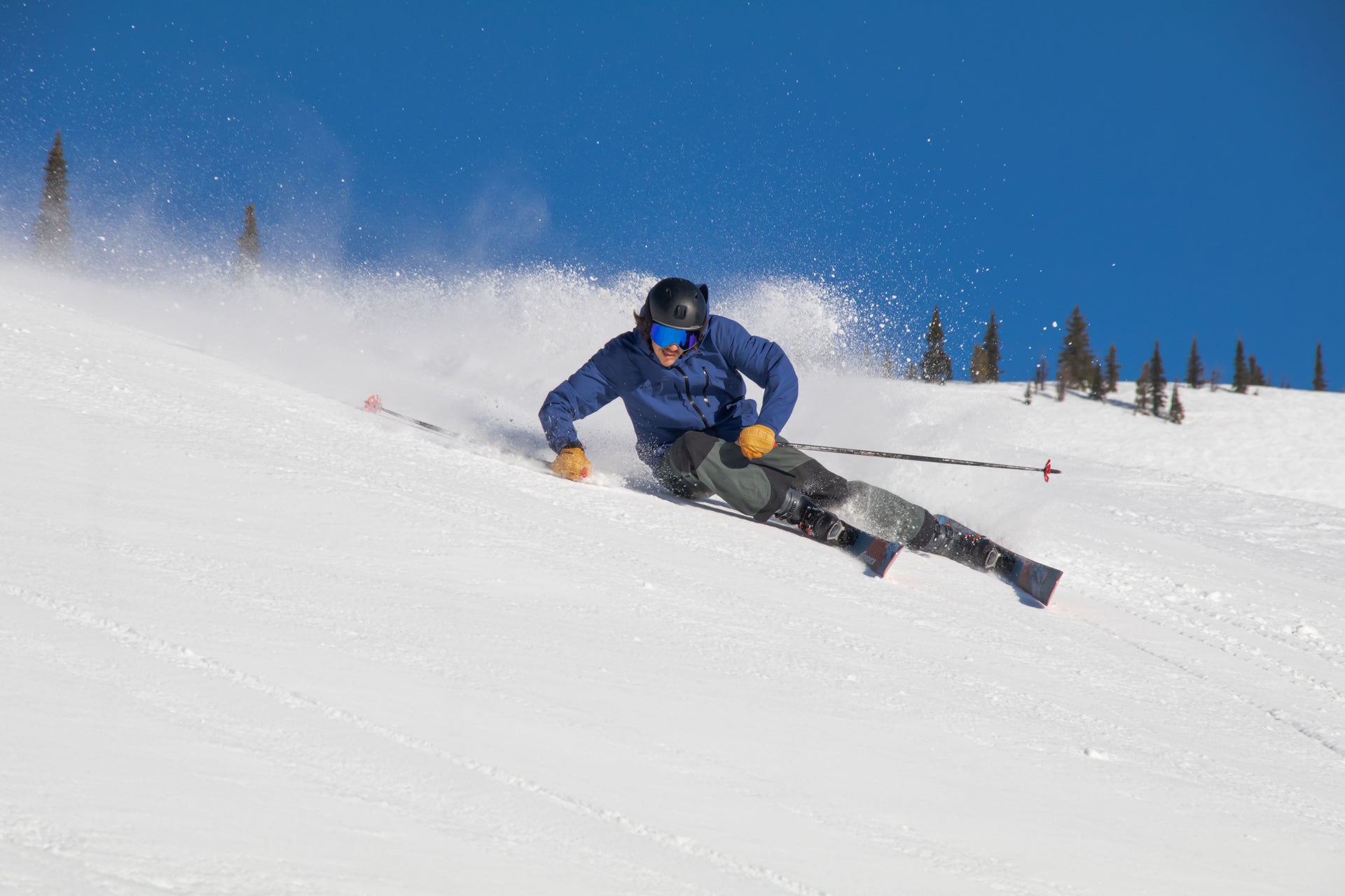 Ski Guide – Switchback Sports